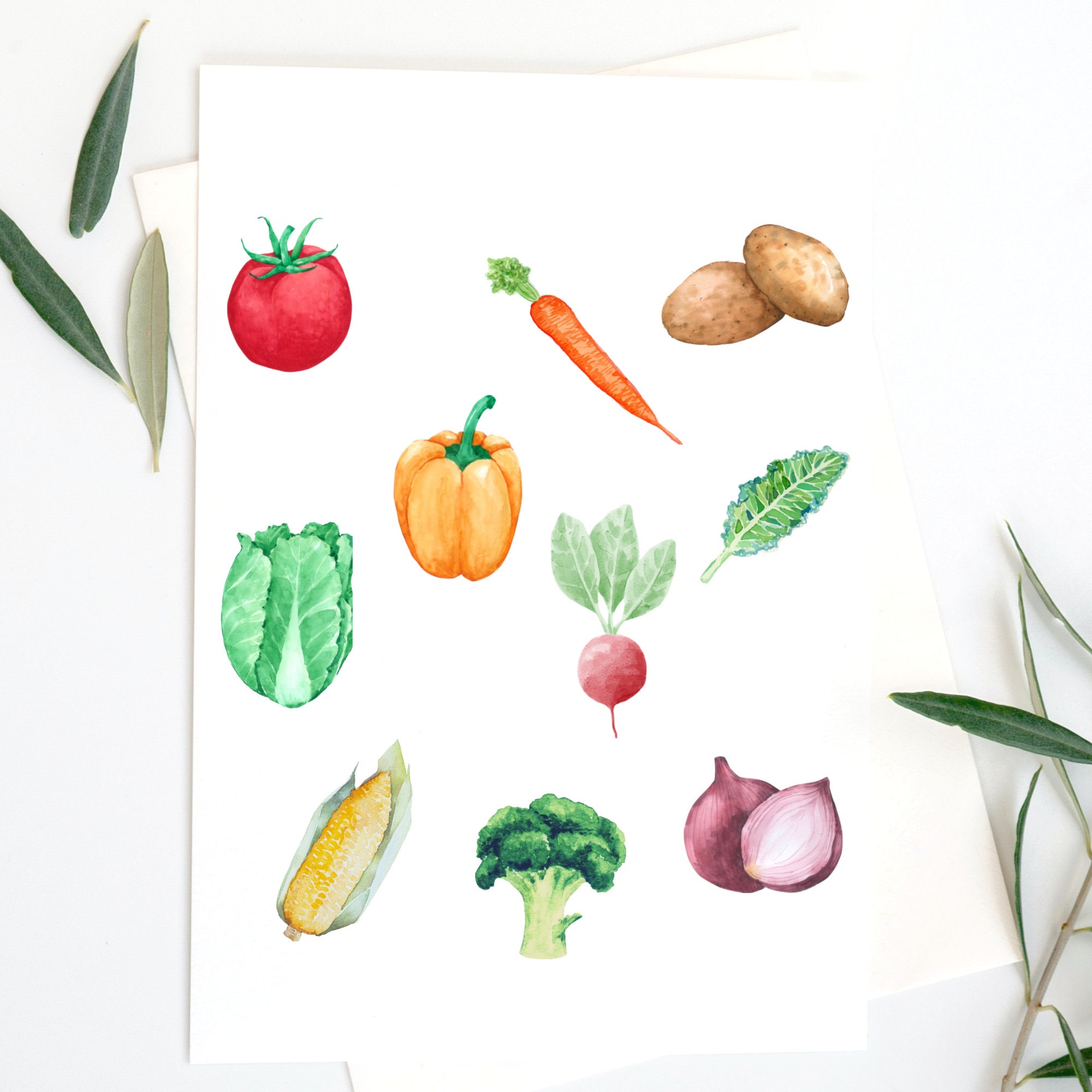 Watercolor Vegetable Package- Poster, Study Card, 3 Part Card, Matching ...