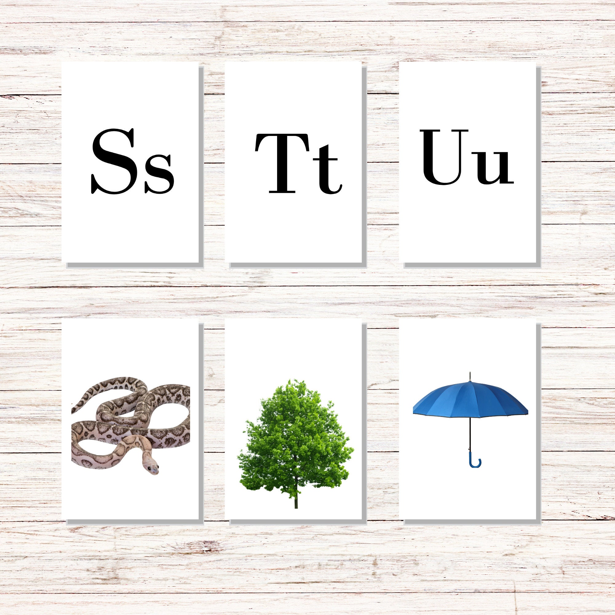ABC Flashcards- Nature- Montessori-preschool Learning-matching Game - Etsy