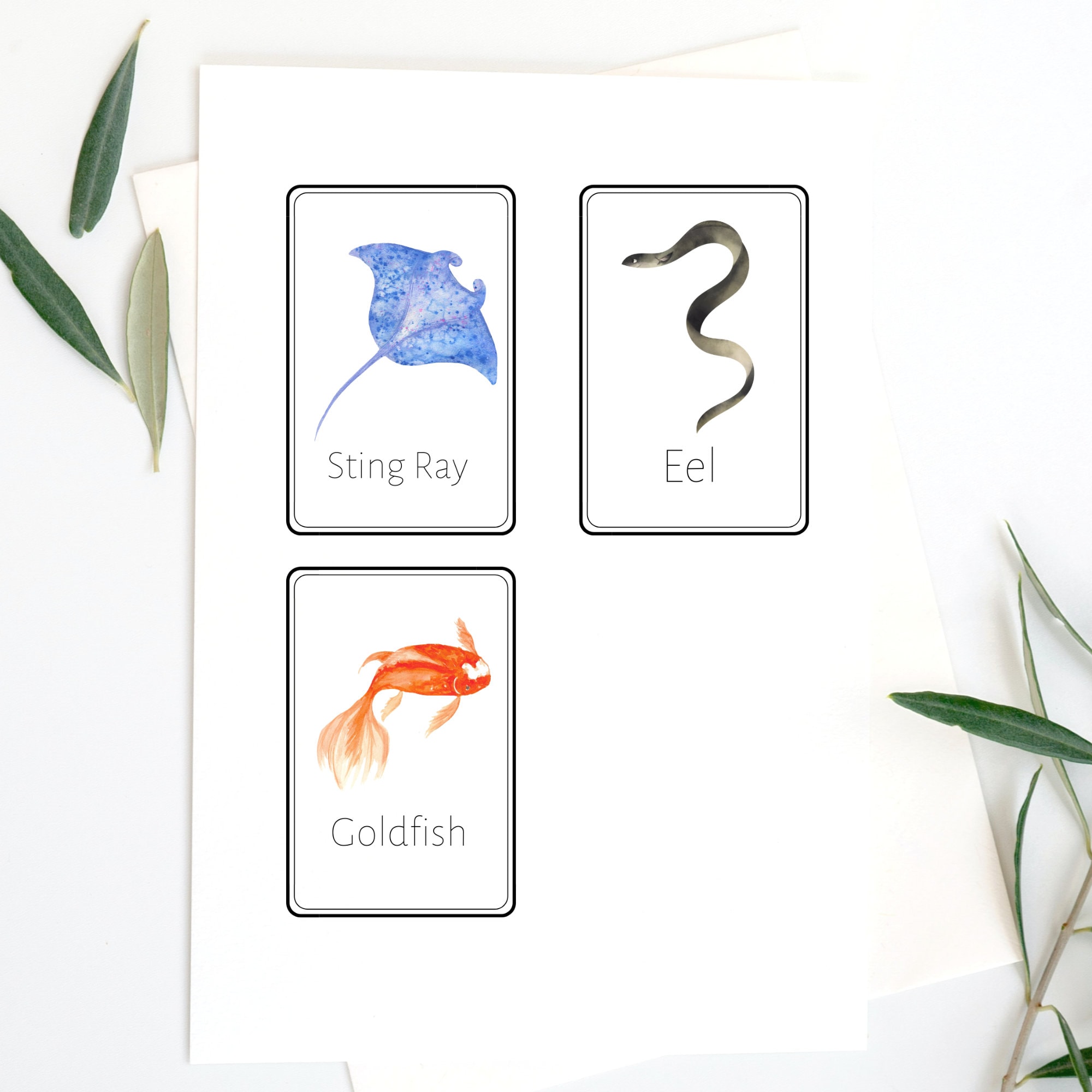Watercolor Fish- Study Card, 3 Part Card - Montessori Inspired ...