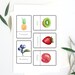 Watercolor Fruit Package- Poster, Study Card, 3 Part Card, Matching ...