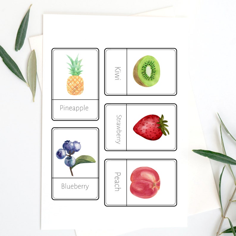 Watercolor Fruit Package- Poster, Study Card, 3 Part Card, Matching ...