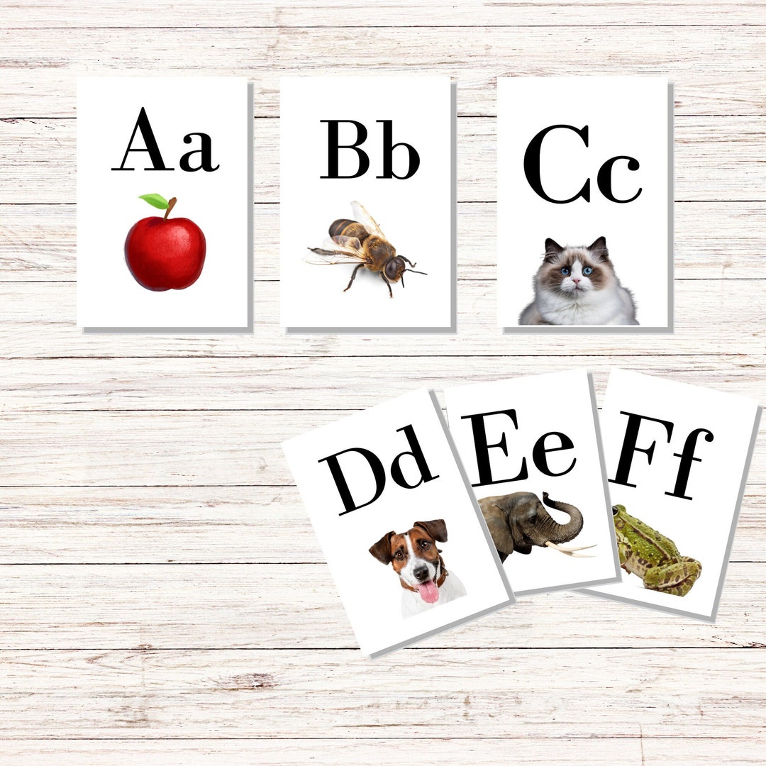 ABC Flashcards- Nature- Montessori-preschool Learning-matching Game - Etsy