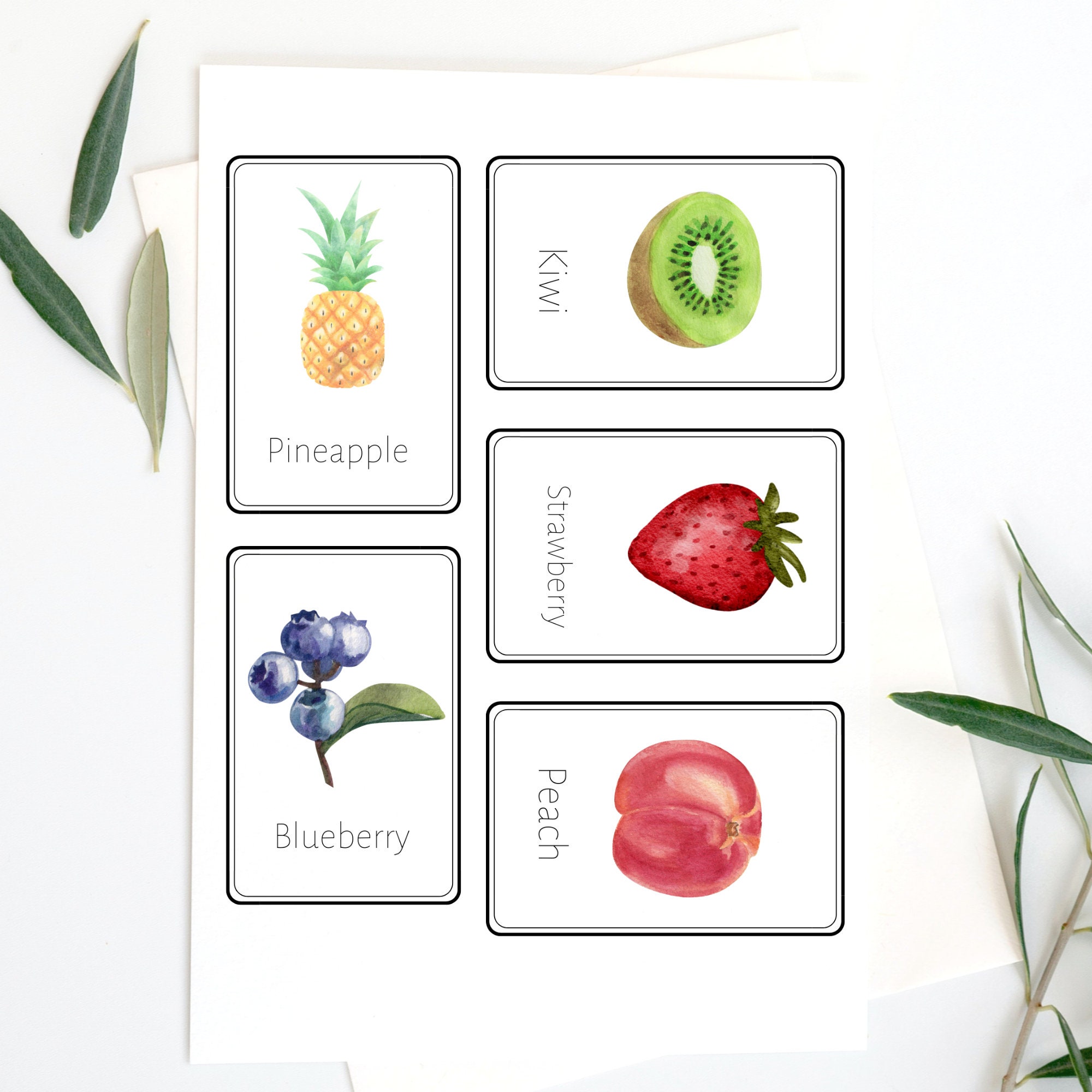 Watercolor Fruit Package- Poster, Study Card, 3 Part Card, Matching ...