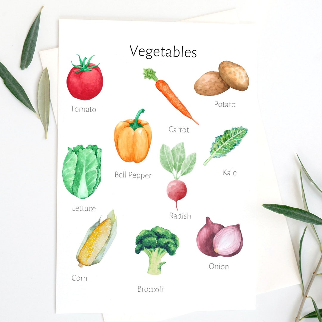Watercolor Vegetable Package- Poster, Study Card, 3 Part Card, Matching ...