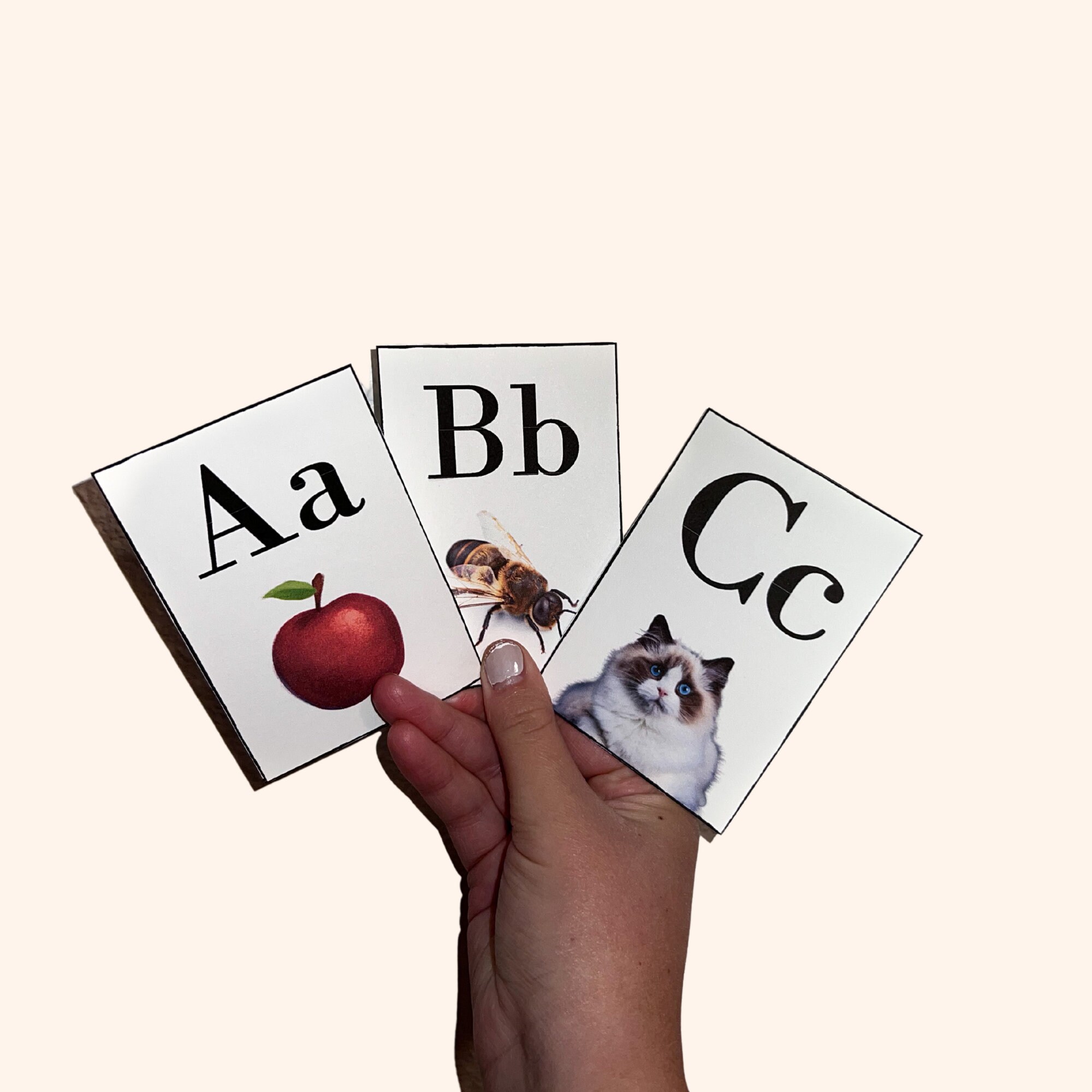 ABC Flashcards Nature Montessori-preschool Learning-matching Game - Etsy