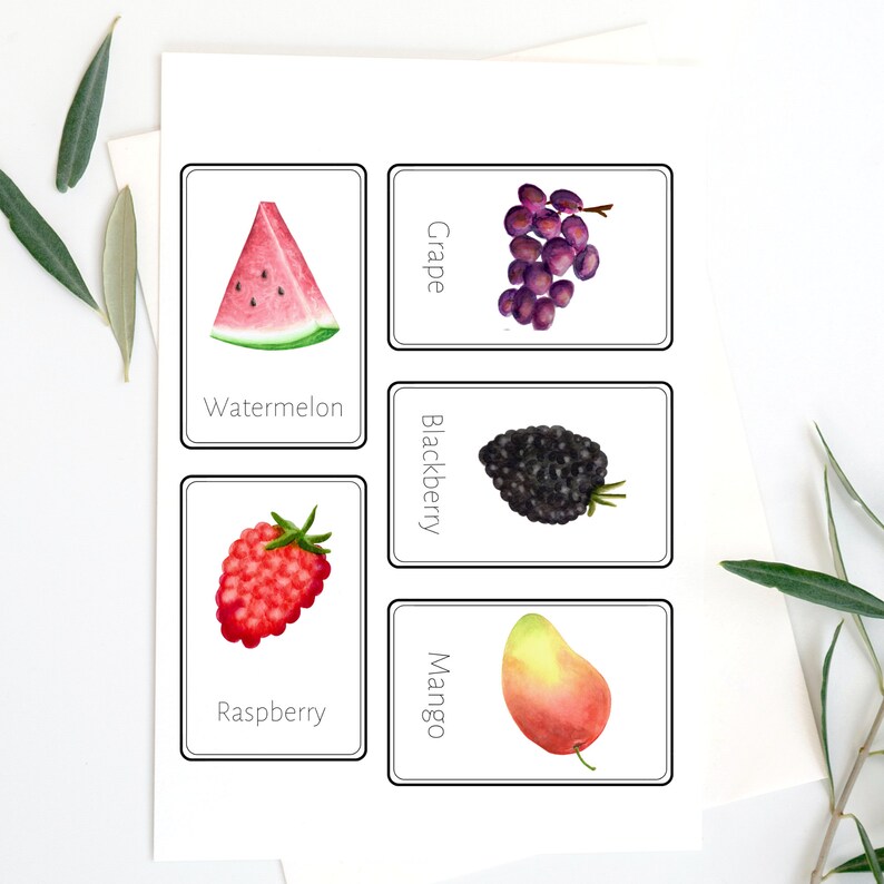 Watercolor Fruit Package- Poster, Study Card, 3 Part Card, Matching ...