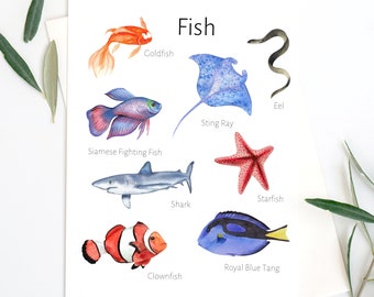 Watercolor Fish Study Card 3 Part Card Montessori - Etsy