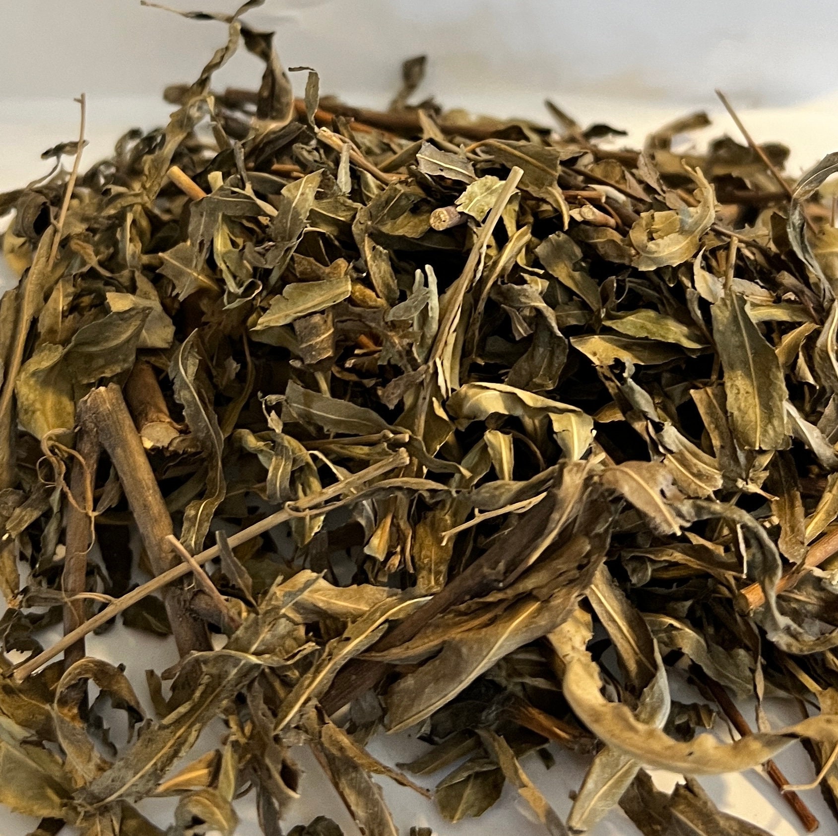 Cancansa Leaves, Wild Grown From Honduras 1lb 29 - Etsy