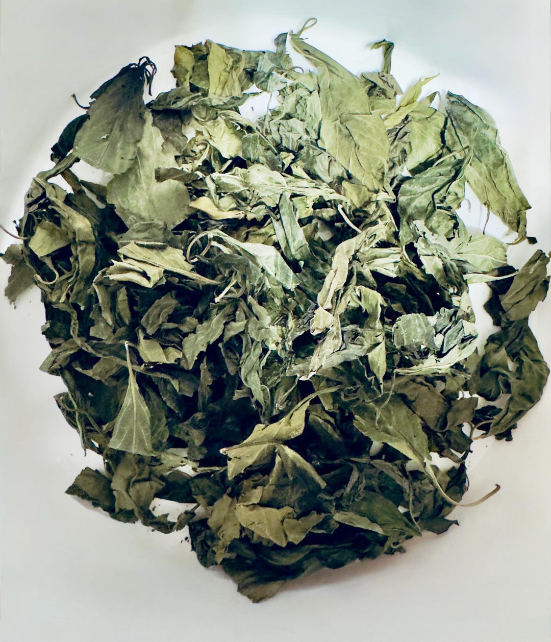 Saint Johns Bush With Stems 1lb 35usd - Etsy