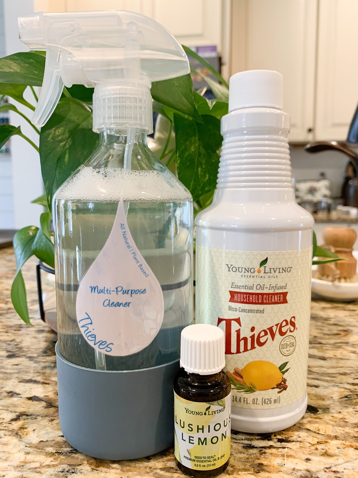 Thieves Cleaner PNG; Cleaner PNG; Thieves PNG; Diy Cleaner Png; Diy Png ...