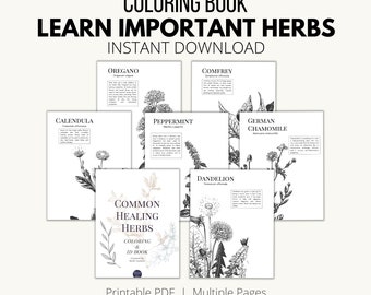 Medicinal Herbs - Etsy
