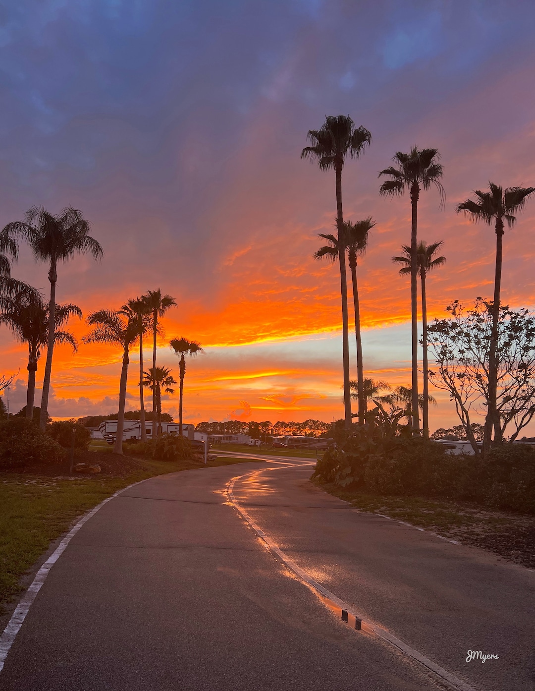 Palm Trees Digital Photo Sunset Road Print Street Red Sky - Etsy