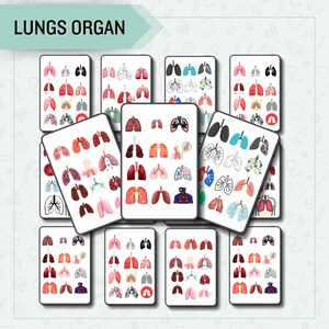 Respiratory System Sticker Bundle Pre-cropped | Sticker Bundle 700 ...
