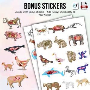 168+ Veterinary Anatomy & Physiology Bundle With Hyperlinked, Anatomy ...