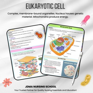 Microbiology Bundle Fully Hyperlinked | Medical School Notes ...
