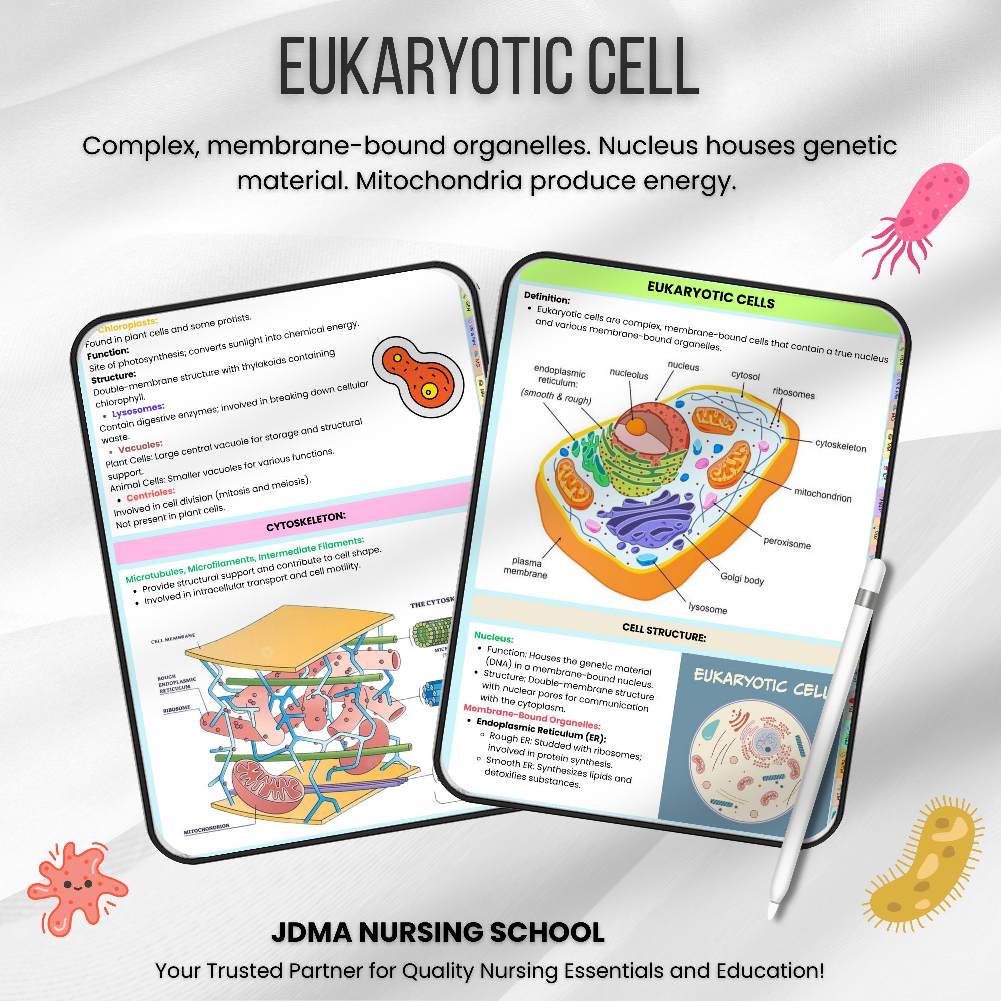 Microbiology Bundle Fully Hyperlinked | Medical School Notes ...