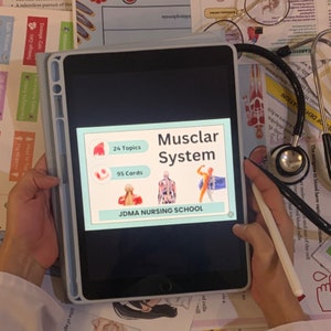 Muscular System Flashcard Fully Hyperlinked | Nursing Bundle | Medical ...