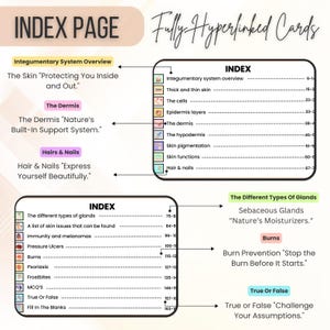 Integumentary System Flashcards Hyperlinked Human Body Flashcard ...