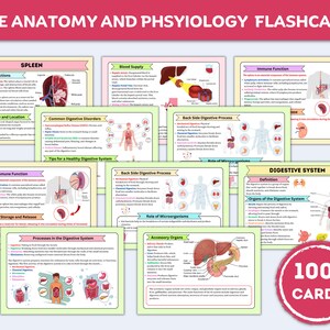 Anatomy & Physiology Bundle With Flashcards and Stickers - Etsy UK