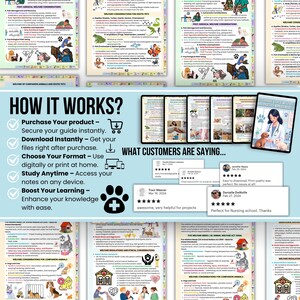Veterinary Ethics,welfare & Practice Management Notes, Vet Practice ...