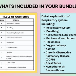 Respiratory System Bundle 51 Pages | Med Surg Nursing Study | Instant ...