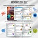 Microbiology Bundle Fully Hyperlinked Medical School Notes Flashcards ...