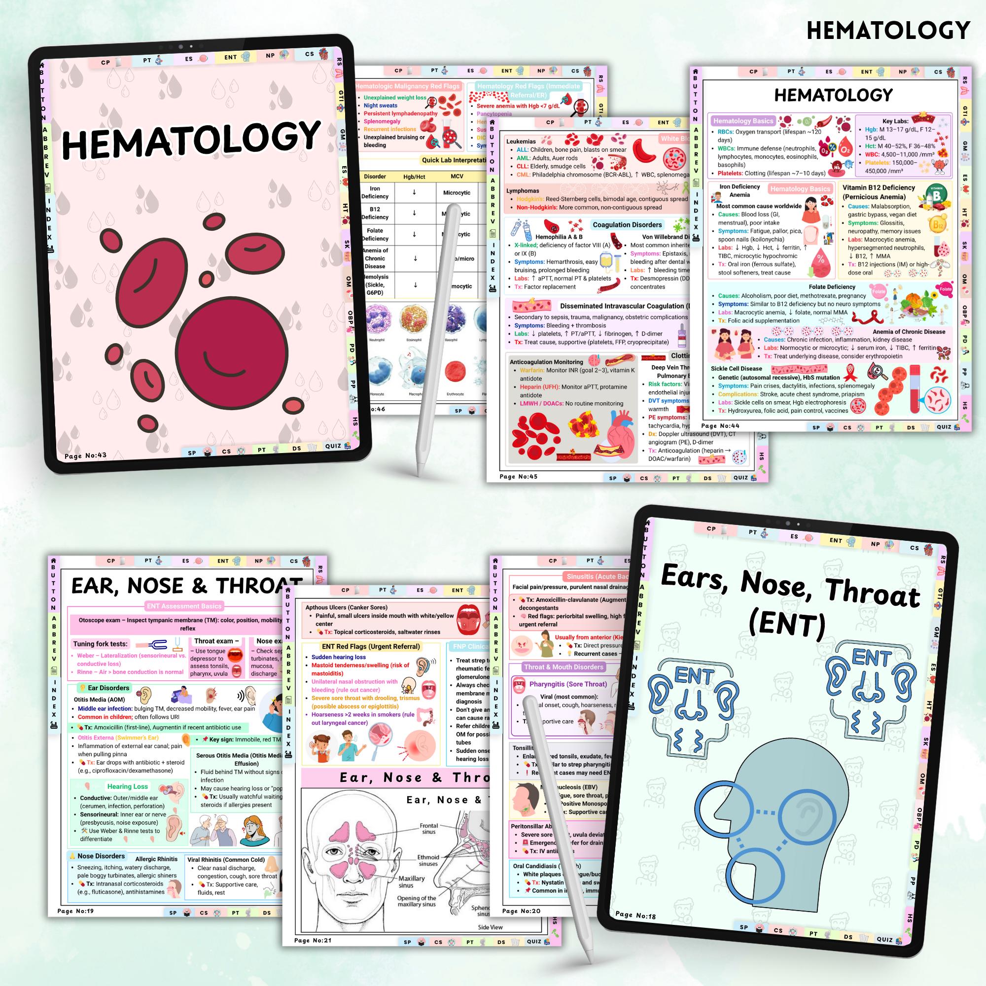 Family Nurse Practitioner Study Guide | Nursing Study Resource | 130 ...