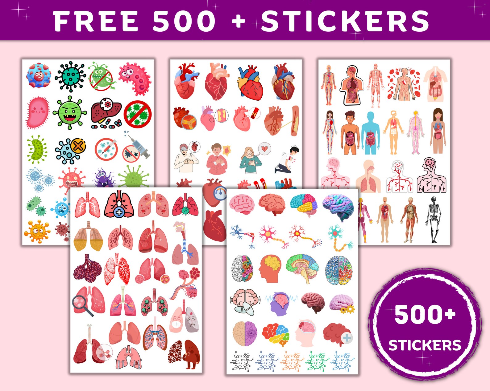 Comprehensive Nursing School Bundle With Hyperlinked | Study Guide ...