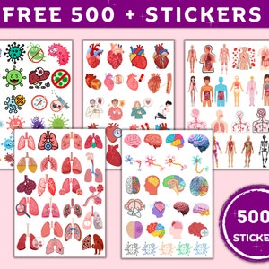 Comprehensive Nursing School Bundle With Hyperlinked | Study Guide ...