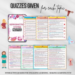 Reproductive System Notes Fully Hyperlinked 30+ Sheets | Study Guide ...