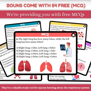 Respiratory System Flashcards | Med Surg Nursing Study | Study Notes ...