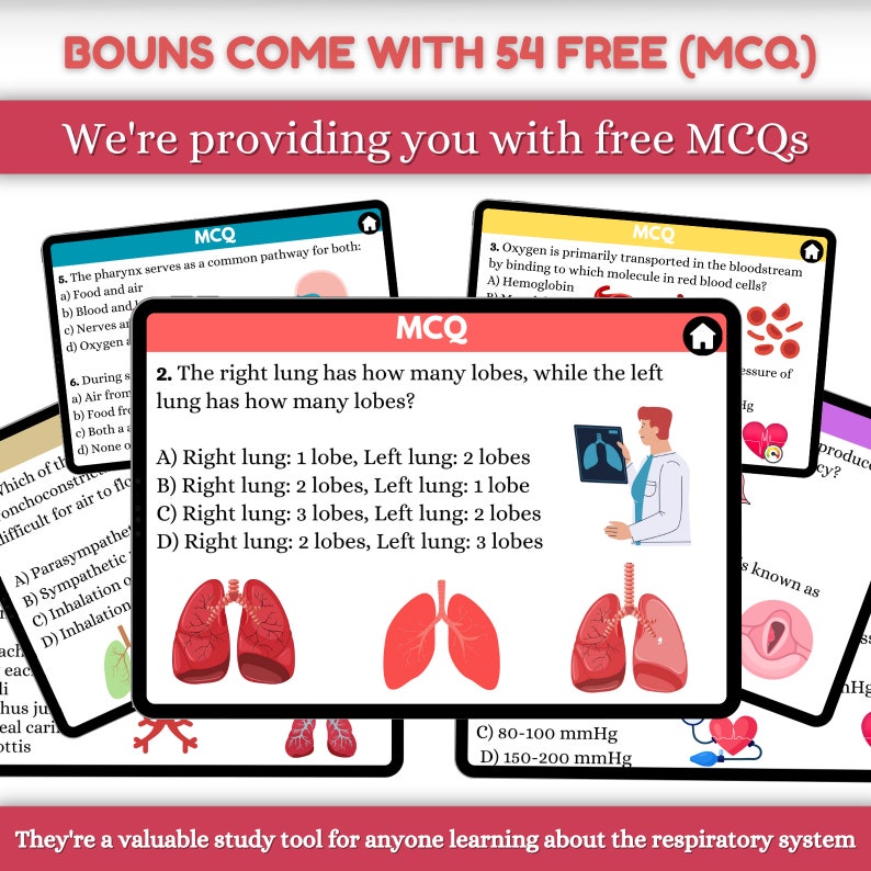 Respiratory System Flashcards | Med Surg Nursing Study | Study Notes ...