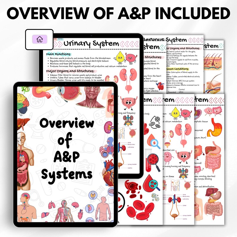 Anatomy & Physiology Case Study Workbook, 100+ Pages Medical Study ...