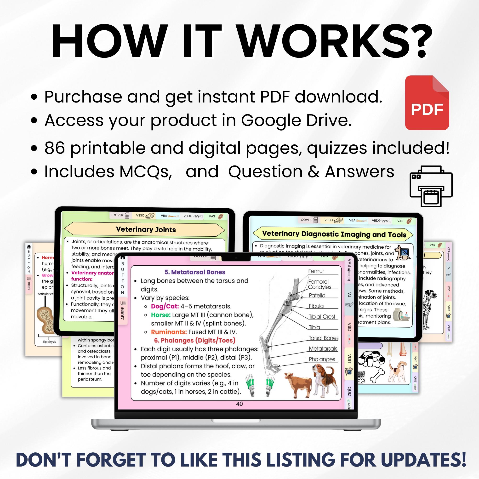 Veterinary Skeletal System Flashcard, 8+ Topics, 5 Bonus Cover Pages ...