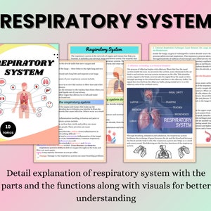 Respiratory System Bundle 51 Pages | Med Surg Nursing Study | Instant ...