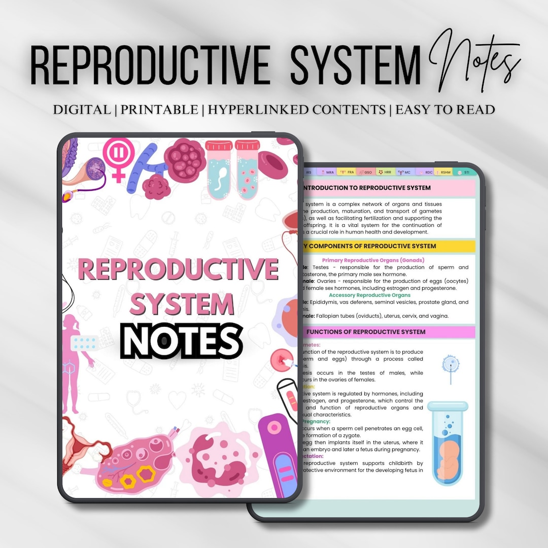 Reproductive System Notes Fully Hyperlinked 30+ Sheets | Study Guide ...