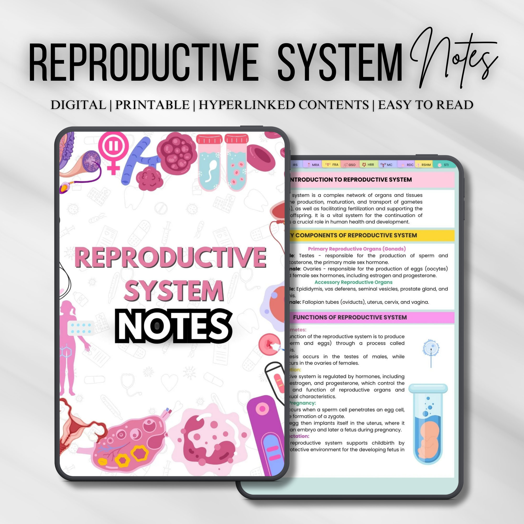 Reproductive System Notes Fully Hyperlinked 30+ Sheets | Study Guide ...