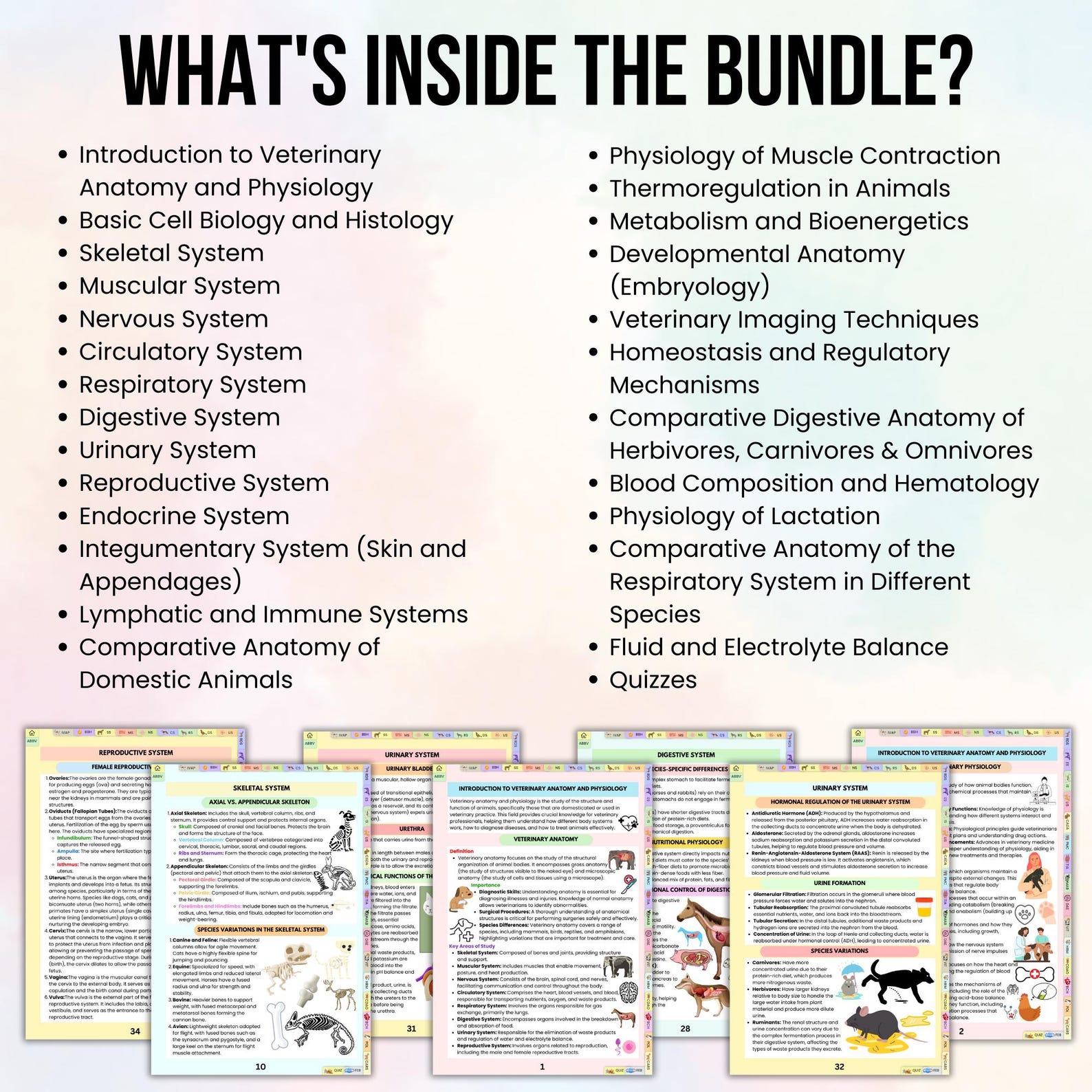 168+ Veterinary Anatomy & Physiology Bundle With Hyperlinked, Anatomy ...