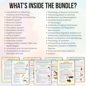 168+ Veterinary Anatomy & Physiology Bundle With Hyperlinked, Anatomy ...