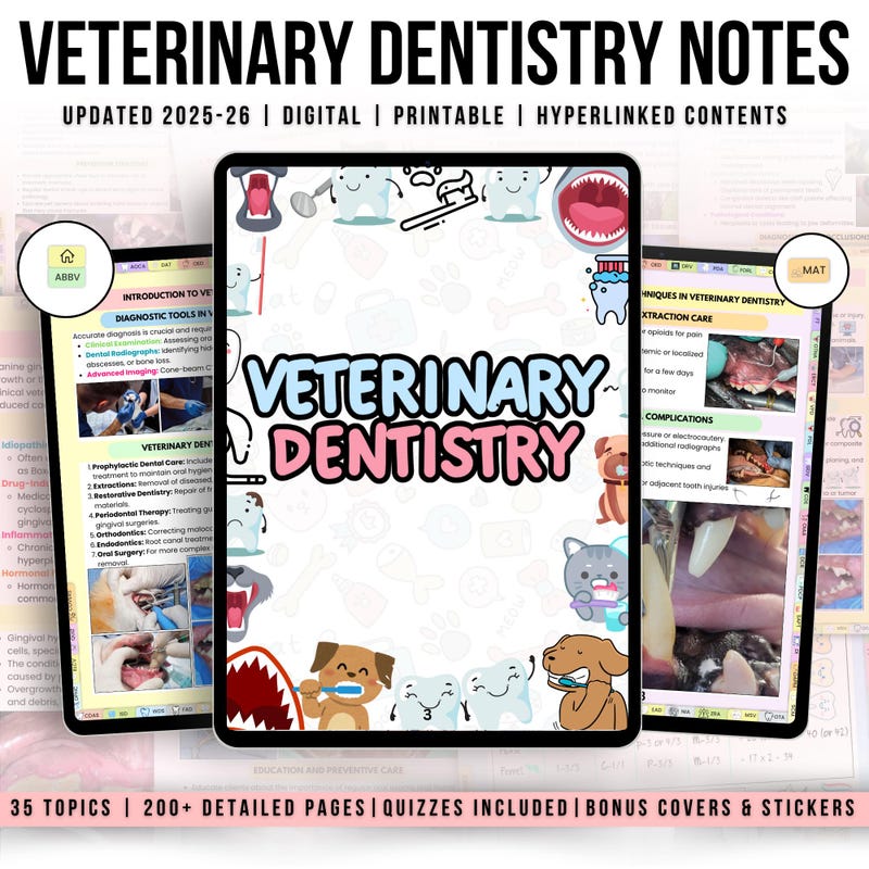 Schools of Dentistry In - Etsy