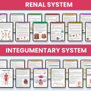 Anatomy & Physiology Bundle With Flashcards and Stickers | Anatomy ...