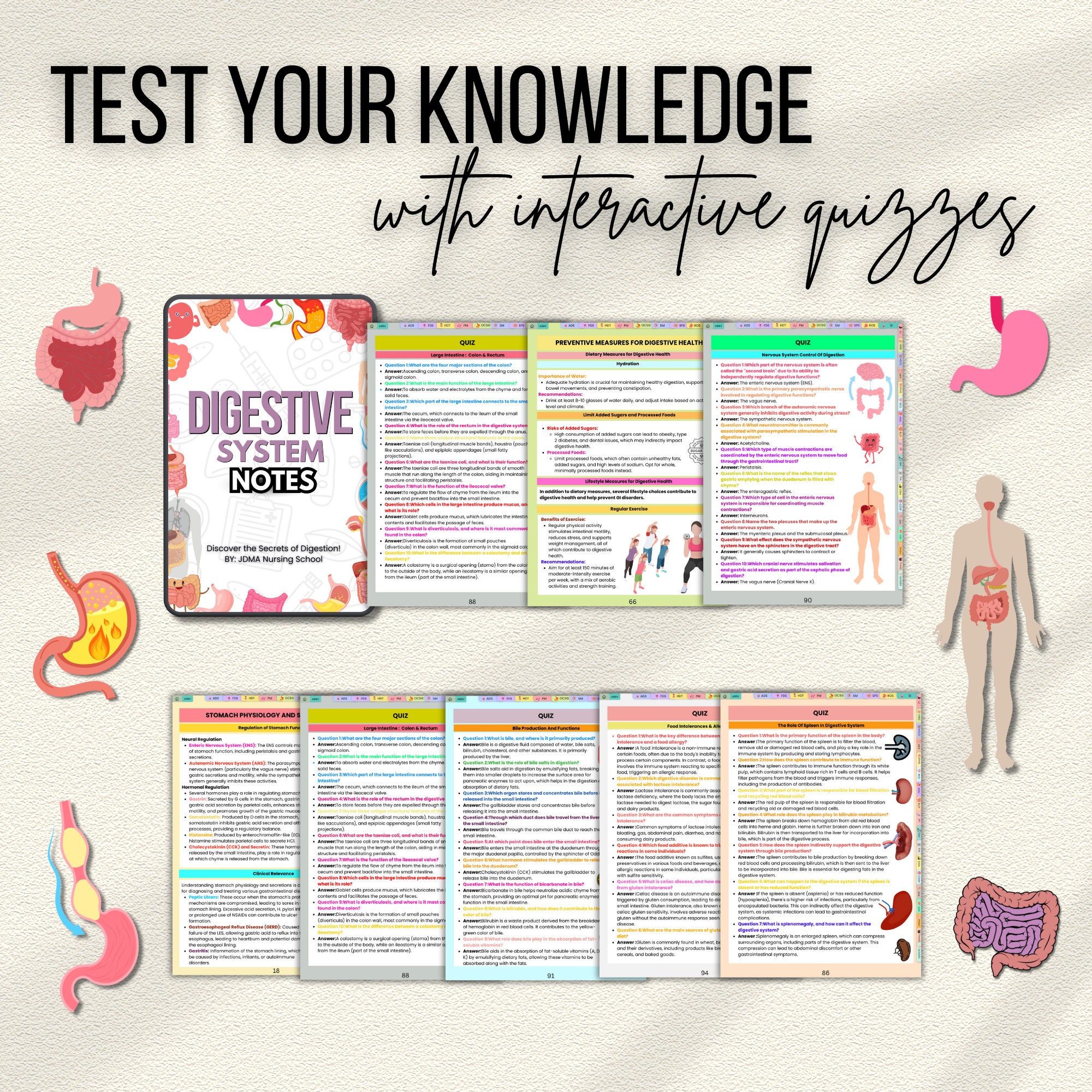 Digestive System Bundle With Flashcards, Svg’s, Quiz or Sticker | Human ...
