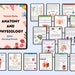 Anatomy & Physiology Bundle With Flashcards and Stickers | Anatomy ...