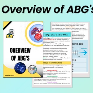 Abgs Bundle 21 Pages | Nursing Study Guide | Arterial Blood Gases ...