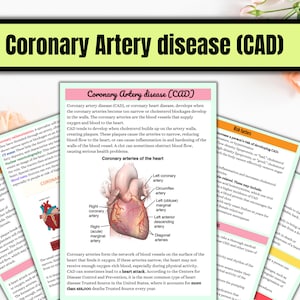 Cardiovascular System | Anatomy Notes | Instant Download | Cardiac ...