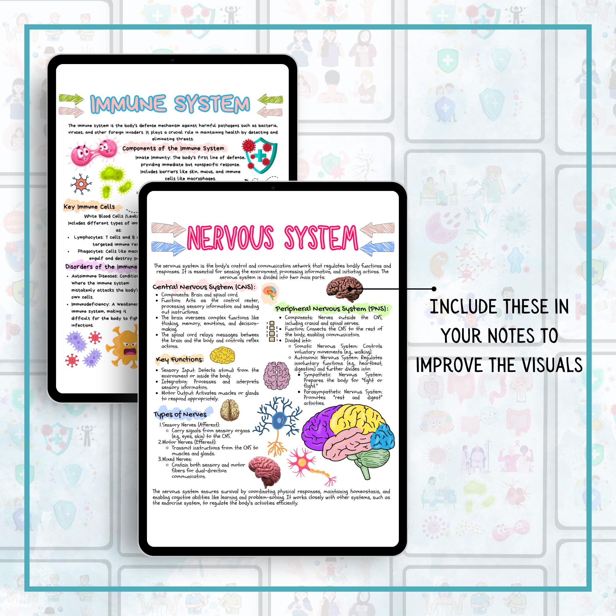 11580+ Medical Stickers Mega Bundle | Goodnotes Stickers | Nurse ...