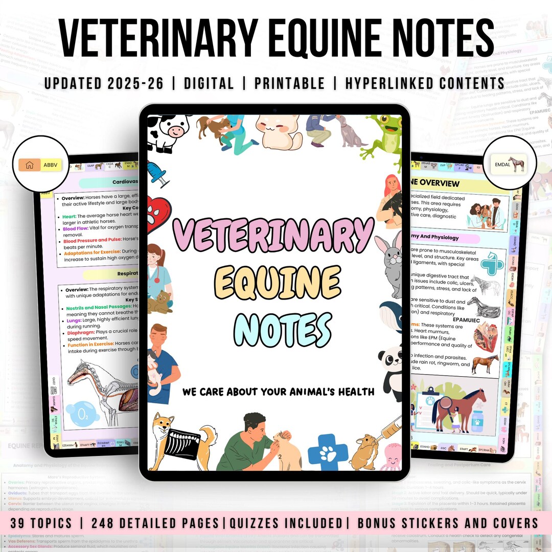Equine Veterinary Notes Bundle Hyperlinked, Equine Medicine Notes ...