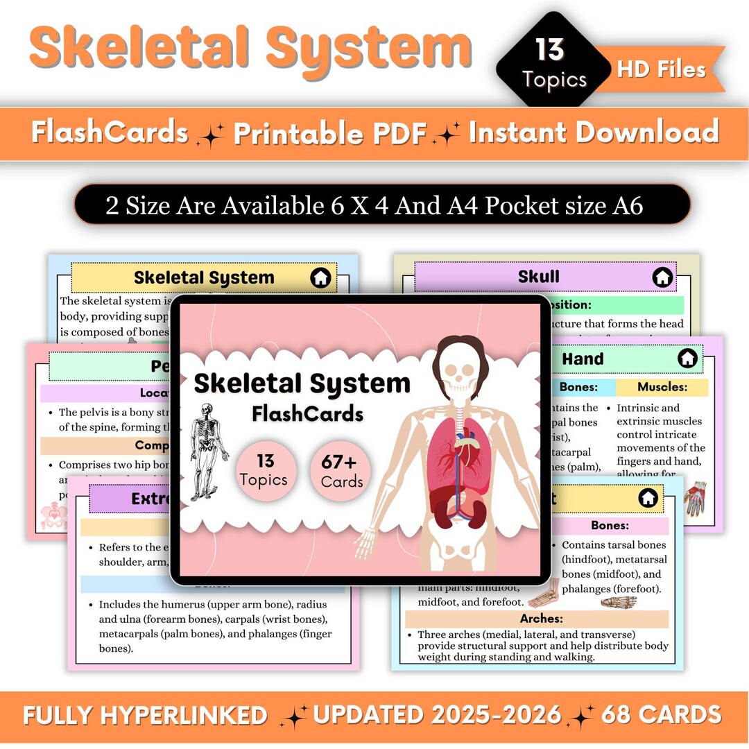 Skeletal Flashcards | Skeletal System Flashcards | Study Guide ...