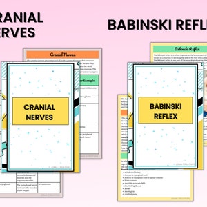 Neurological System | Neuro Bundle Notes | Med Surg Notes | Pritnable ...