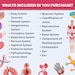Anatomy & Physiology Bundle With Flashcards and Stickers | Anatomy ...